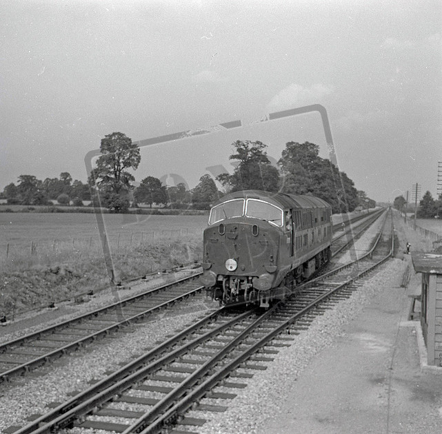 Rail-Online | Class 41 NBL D600 Warship | D602 1959 Chippenham