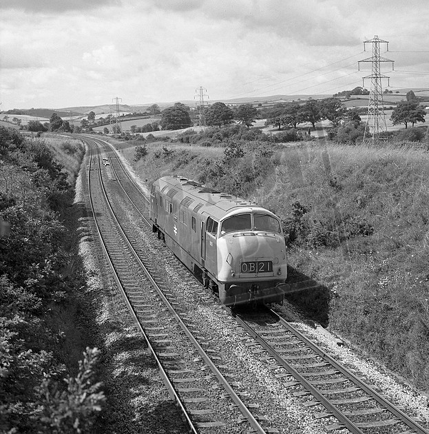 Rail-Online | Class 42 Warship