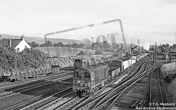 Rail-Online | Class 20 English Electric Type 1 | D8098 1965c Beattock