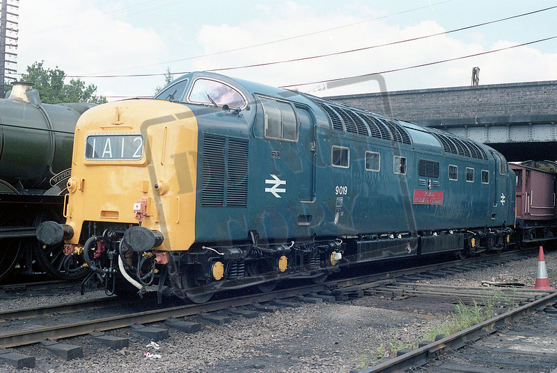 Rail-Online | Class 55 Deltic