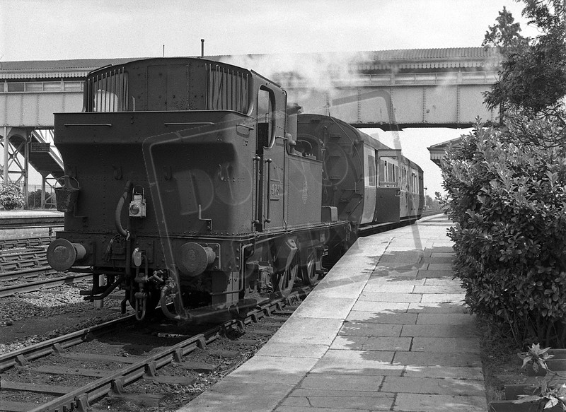 Rail-Online | 14xx/48xx/58xx 0-4-2T | 1473 1959-07-14 Bicester