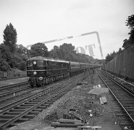 Rail-Online | Diesels 10201-3 | 10203 1954-08-08 Surbiton