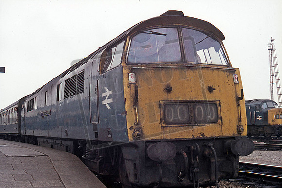 Rail-Online | Class 52 Western | D1054 1975 Bristol Temple Meads