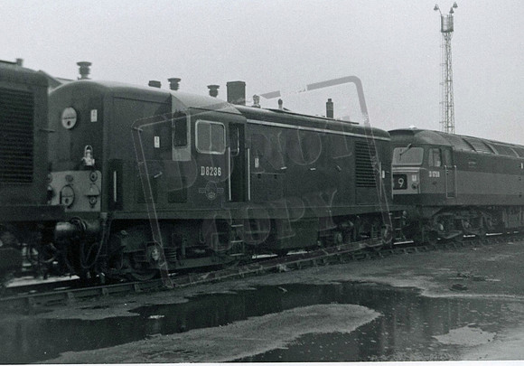 Rail-Online | Class 15 BTH Type 1 | D8236 1966-09-30 Stratford Shed