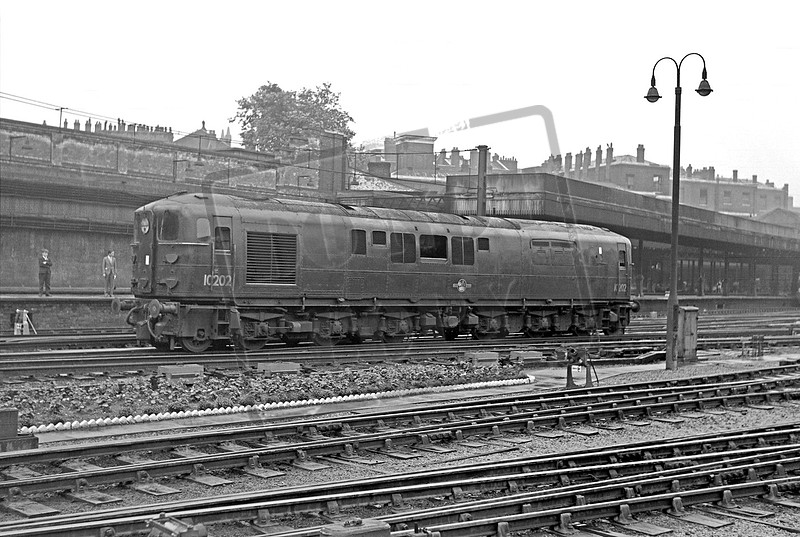 Rail-Online | Diesels 10201-3