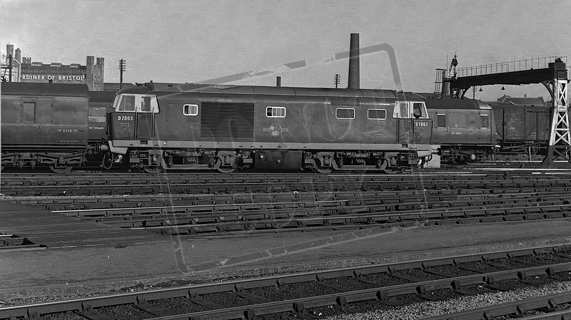Rail-Online | Class 35 Hymek | D7003 1961-09-28 Bristol TM