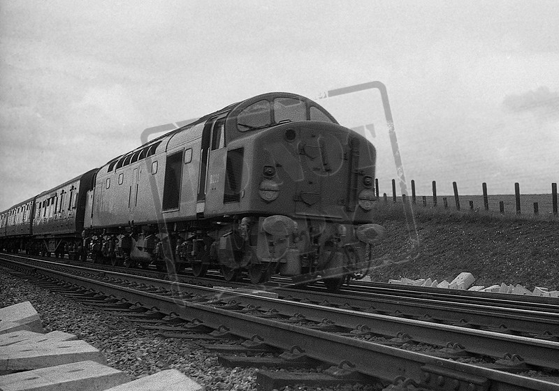 Rail-Online | Class 40 English Electric Type 4 | D229 1960-07-25 Boxmoor