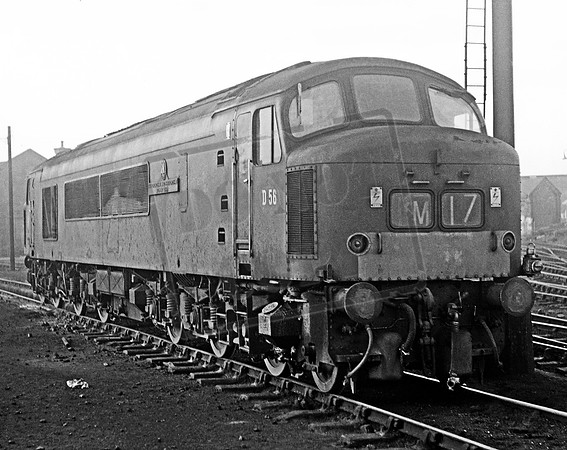 Rail-Online | Class 45 Peak | D56 1965-11-10 Holbeck