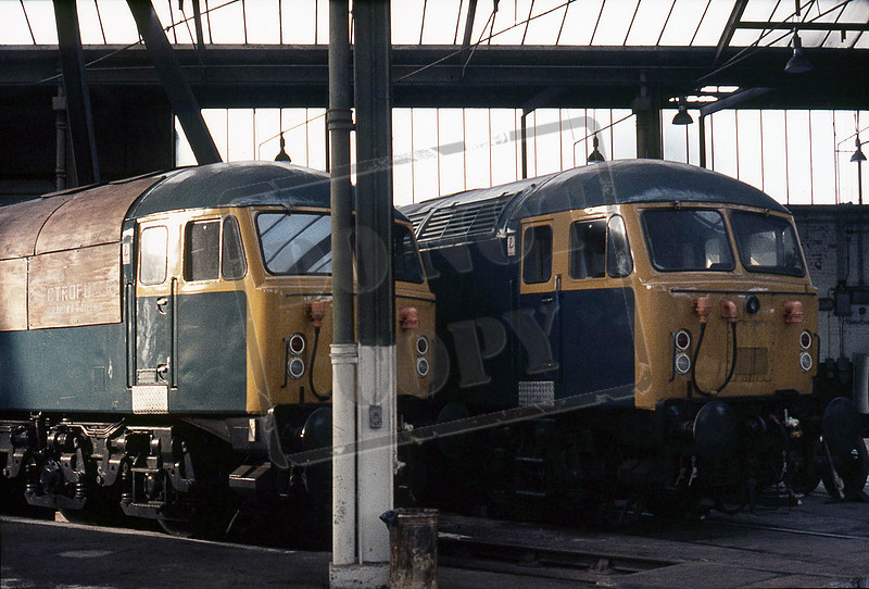 Rail-Online | Class 56