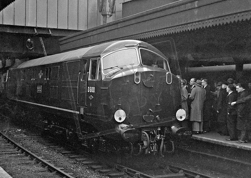 Rail-Online | Class 41 NBL D600 Warship