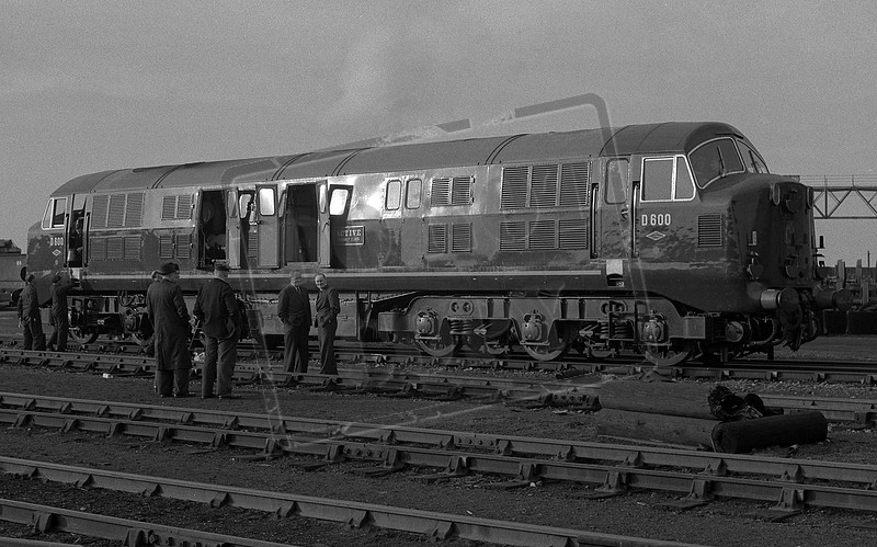 Rail-Online | Class 41 NBL D600 Warship